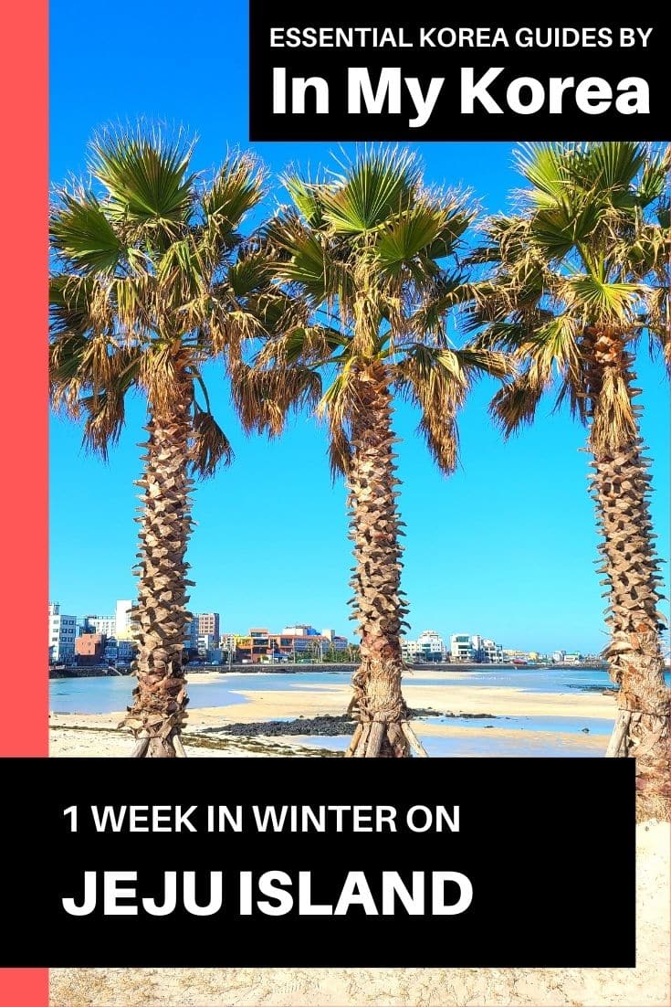 What To Do On Jeju Island In Winter: Jeju Winter Itinerary 2025