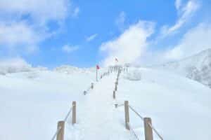 What To Do On Jeju Island In Winter: Jeju Winter Itinerary 2025