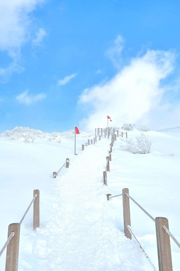 What To Do On Jeju Island In Winter: Jeju Winter Itinerary