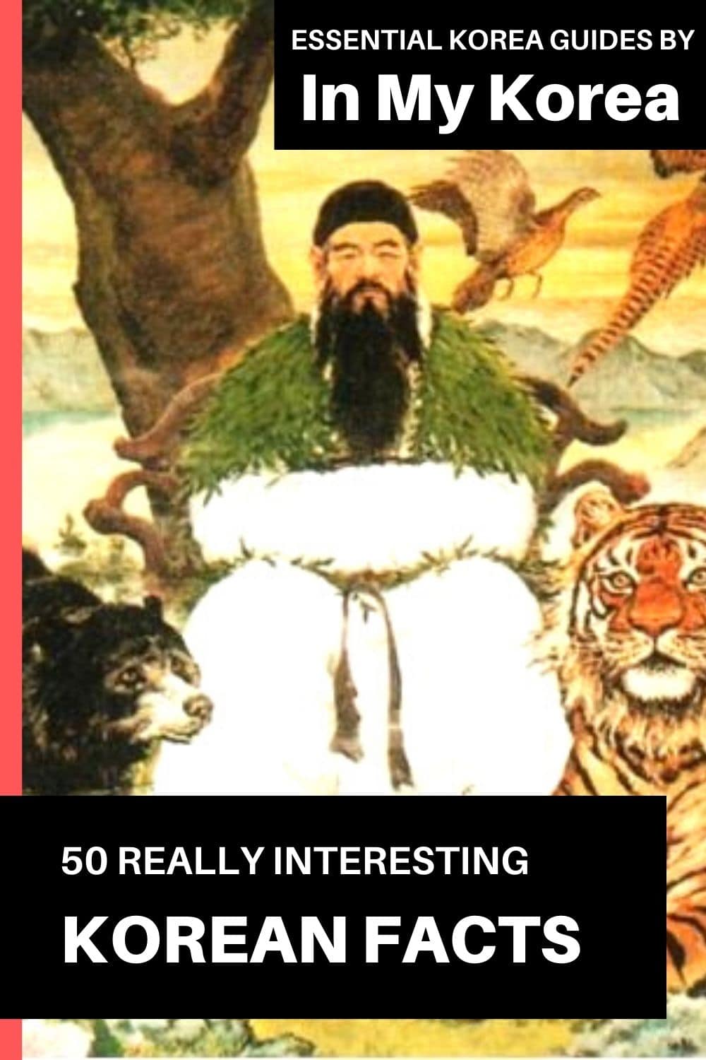 50 Amazing South Korean Culture Facts You'll Love 2025