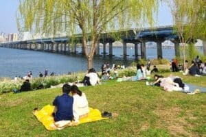20 Cool Summer Activities In Korea: Korean Summer 2025