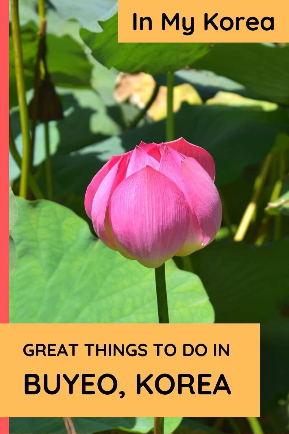 10 Things To Do In Buyeo 2025: UNESCO World Heritage City