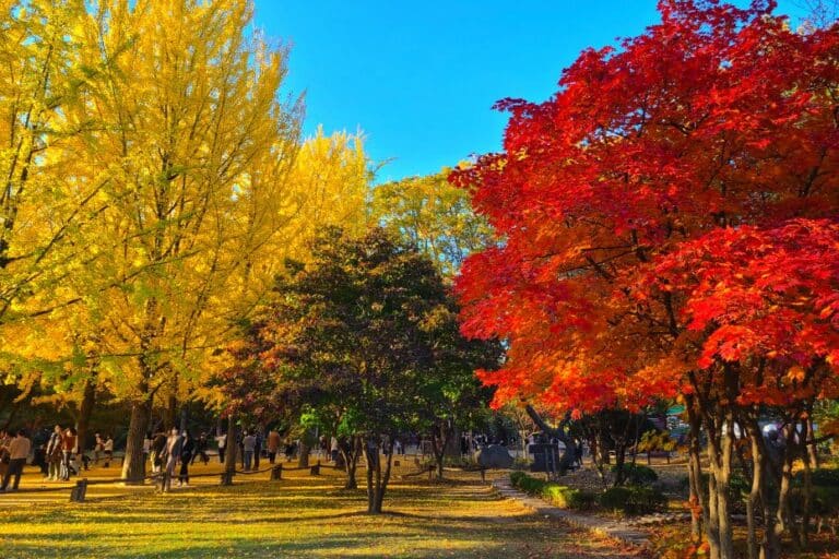 Where To See Autumn Leaves In Korea 2023: Best Fall Foliage