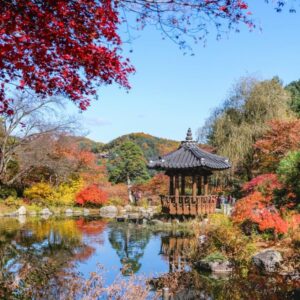 25 Best Day Trips From Seoul: Tours In Korea To Try In 2025