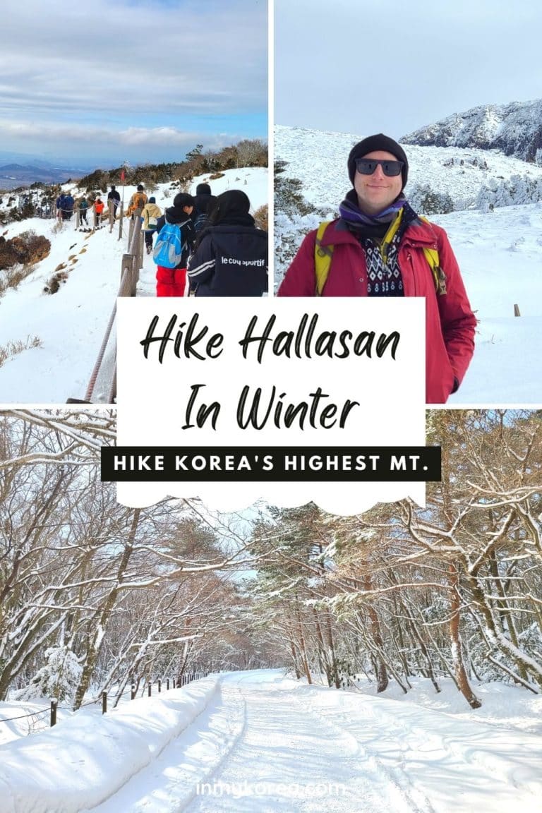 How To Hike Hallasan In Winter: Jeju Island Snow Hiking 2024