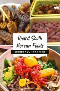 Weird Korean Foods: 15 Unique Korean Dishes You Might Love