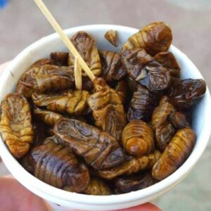 Weird Korean Foods: 15 Unique Korean Dishes You Might Love