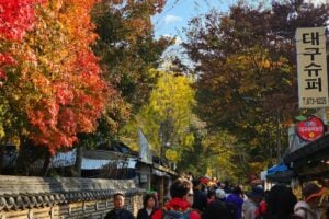 Korea In October 2025: Best Festivals, Events, And Sights