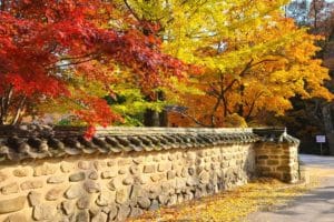 Korea In October 2024: Best Festivals, Events, And Sights