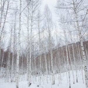 A Guide To Winter In Korea 2025: 20+ Best Winter Activities