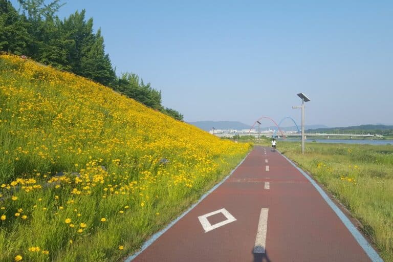 15 Best Places To Go Cycling In Korea: From Coast To Mountains