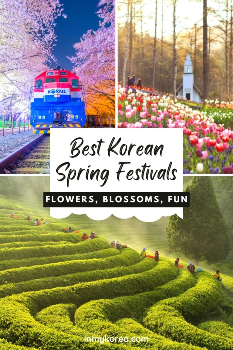 Best Korean Spring Festivals 2025: Nature, Culture, Blossoms