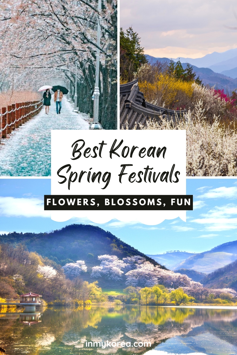 Best Korean Spring Festivals 2025: Nature, Culture, Blossoms