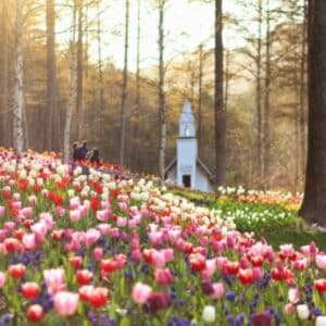 25 Best Day Trips From Seoul: Tours In Korea To Try In 2025