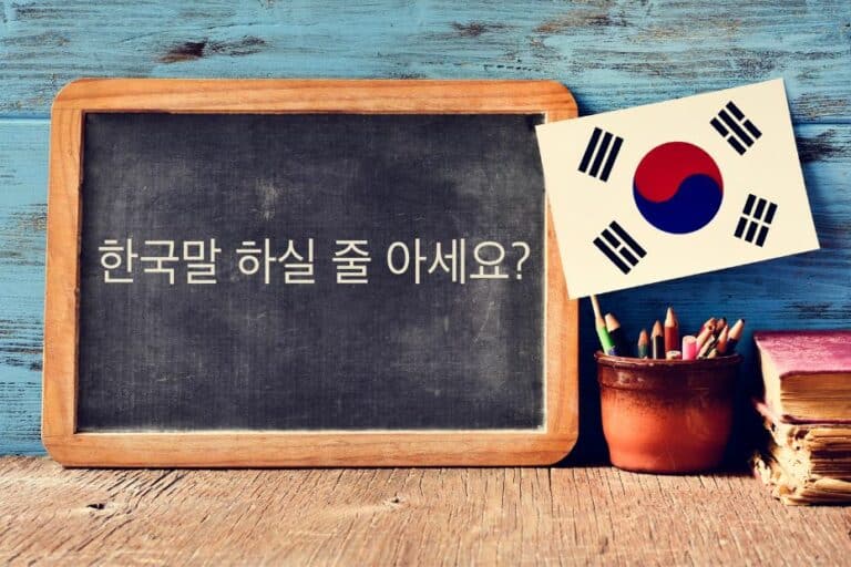 How To Use The Papago App To Translate Korean To English