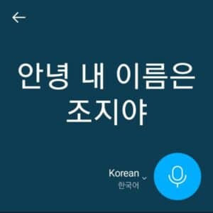 How To Use The Papago App To Translate Korean To English