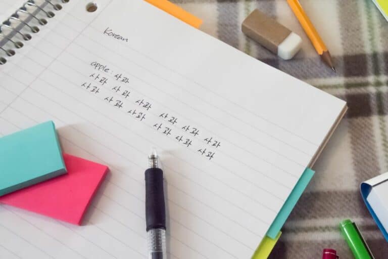 How To Use The Papago App To Translate Korean To English