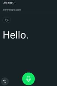 How To Use The Papago App To Translate Korean To English