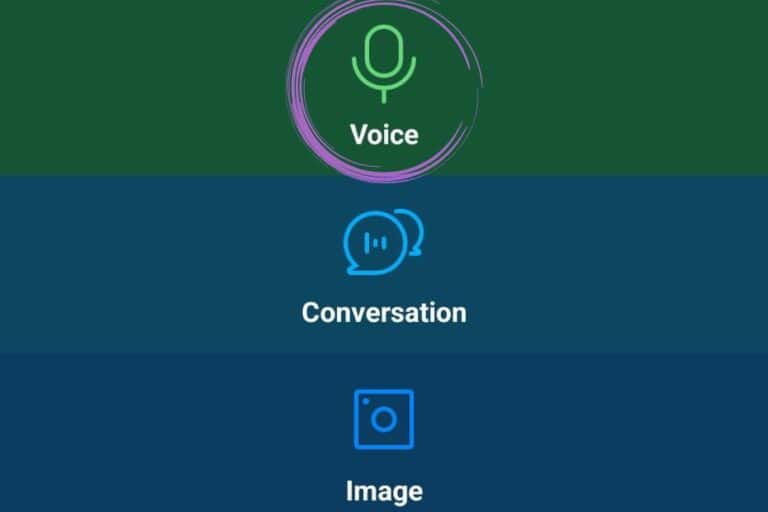 How To Use The Papago App To Translate Korean To English