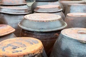 Kimchi Making Day: My Fun Experience Of Kimjang In Korea