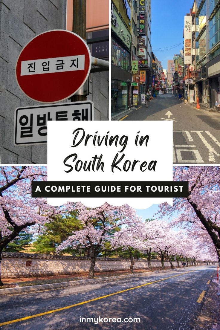 Driving in Korea for Foreigners: Comprehensive Guide 2025